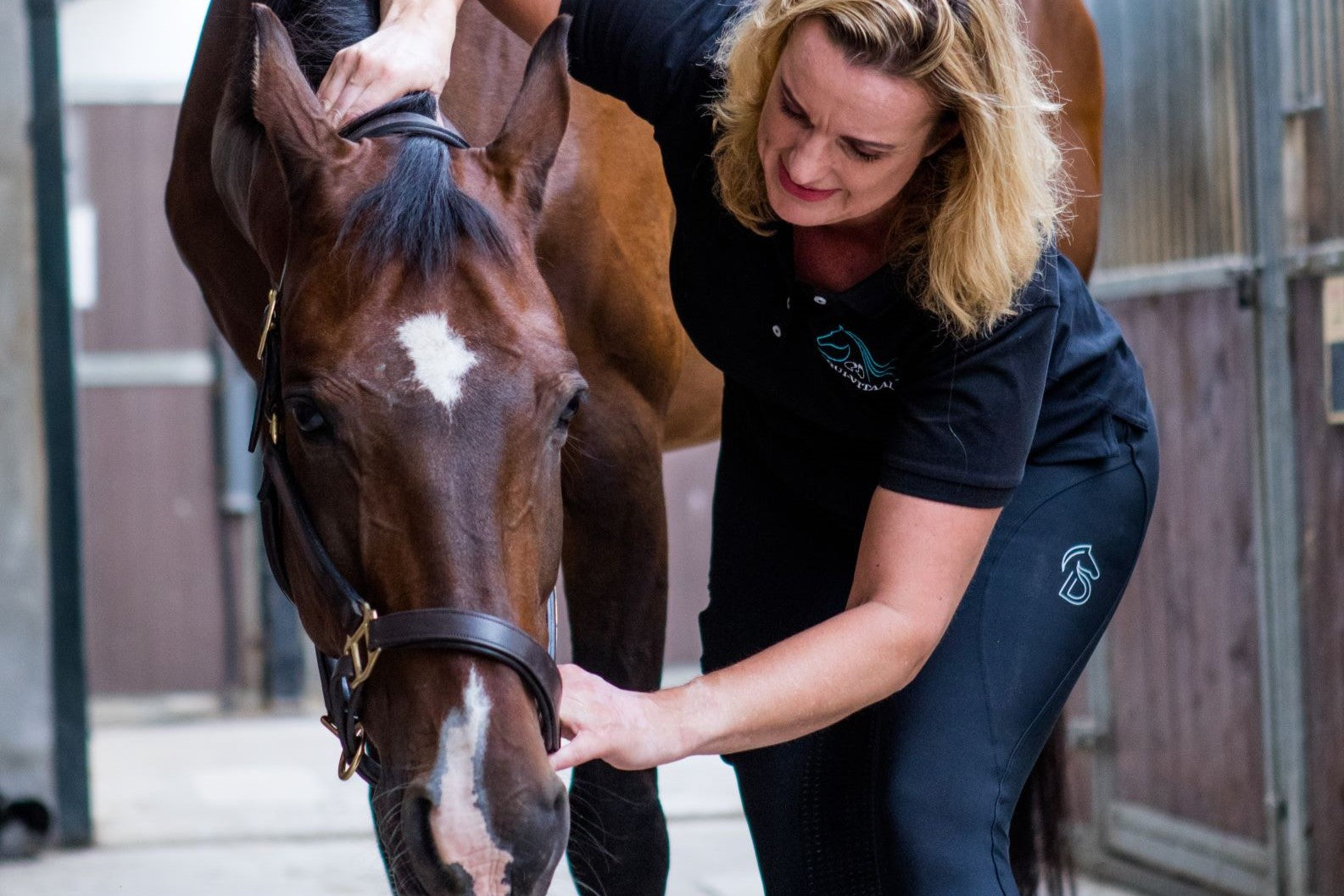Topvormplan – Equi-vitaal | Jouw paard in Topvorm